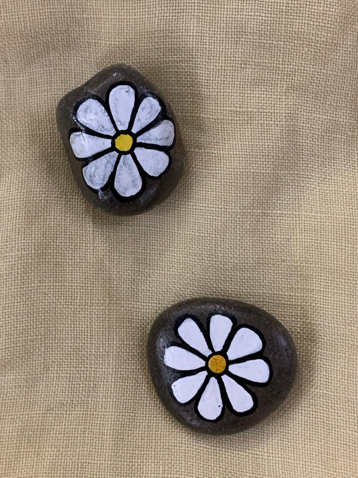 Daisy Magnets – Peppinella