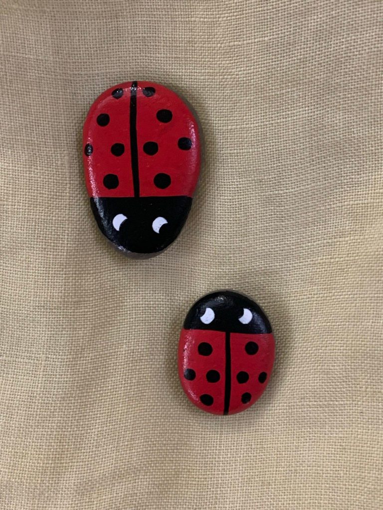 Ladybug Magnets – Peppinella